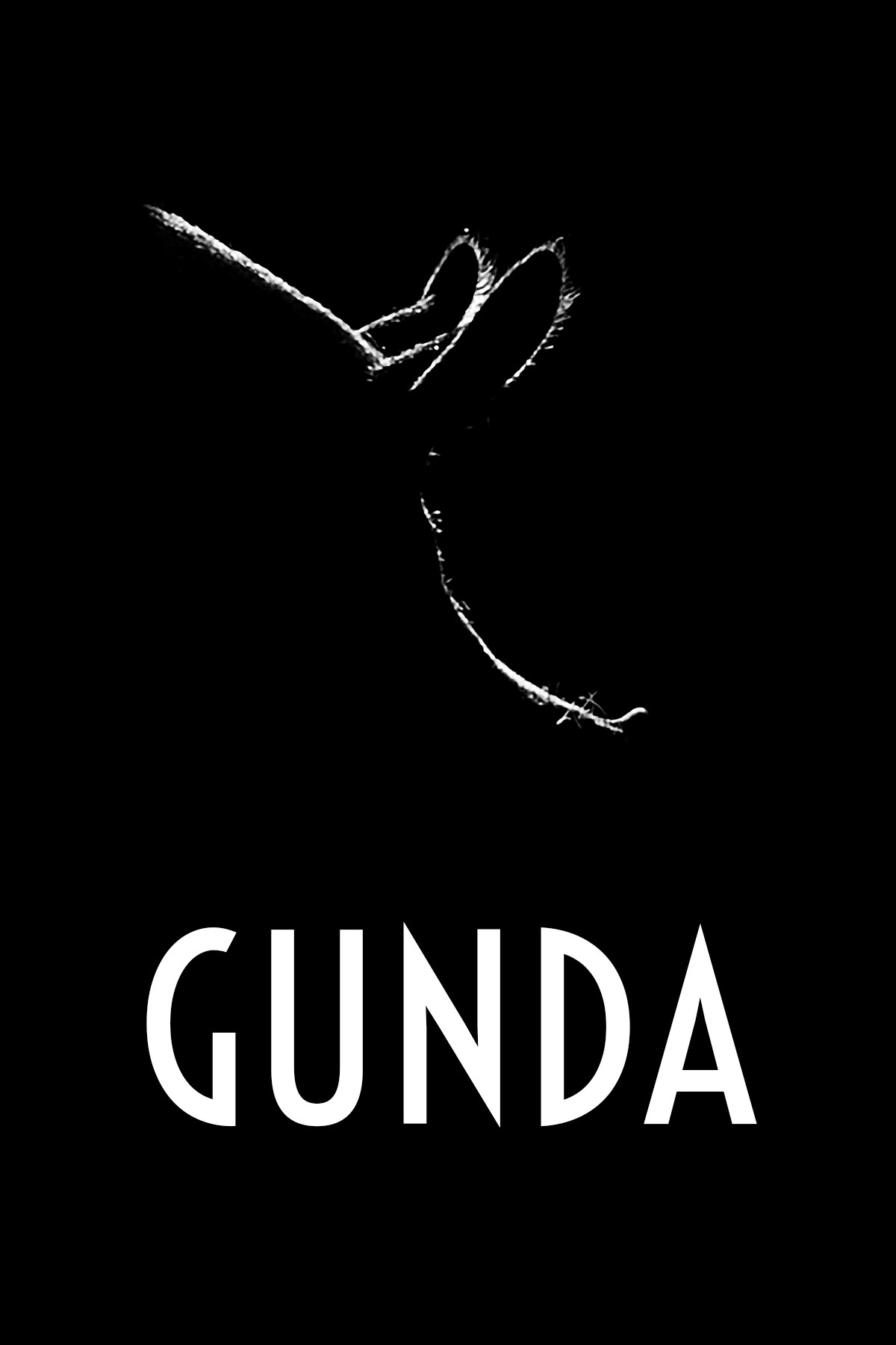 Gunda | Cartelera de Cine EL PAÍS