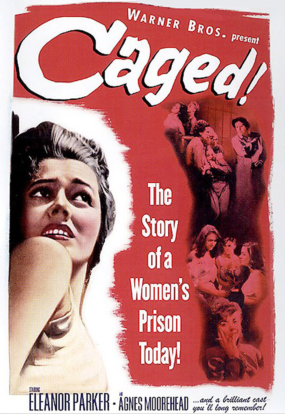 Caged | Cartelera de Cine EL PAÍS